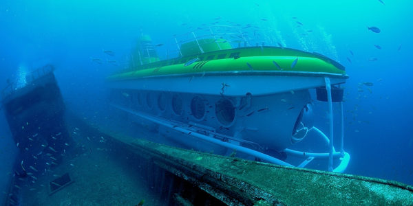 Video - Submarine Safaris